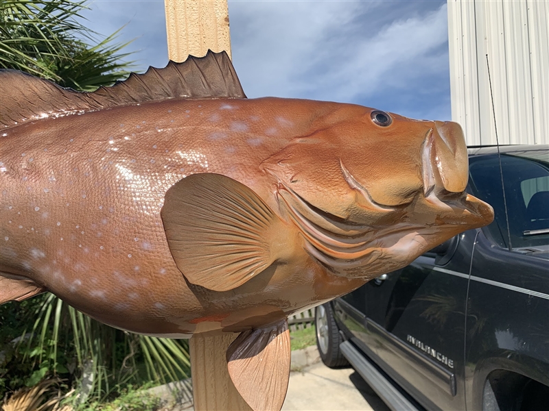 35 Inch Red Grouper Fish Mount Replica Reproduction For Sale