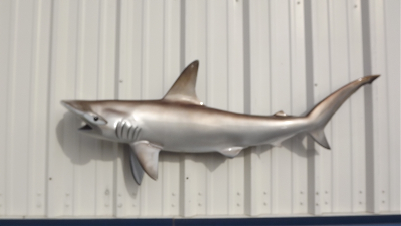 54 Inch Hammerhead Shark Mount Replica Reproduction For Sale