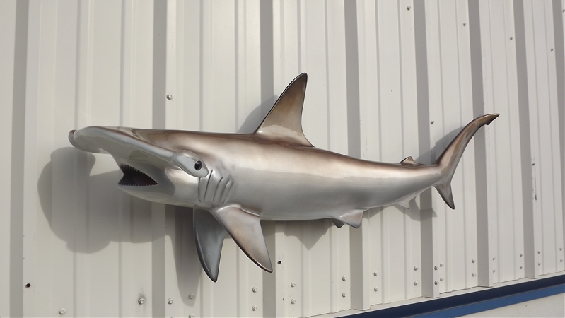 54 Inch Hammerhead Shark Mount Replica Reproduction For Sale