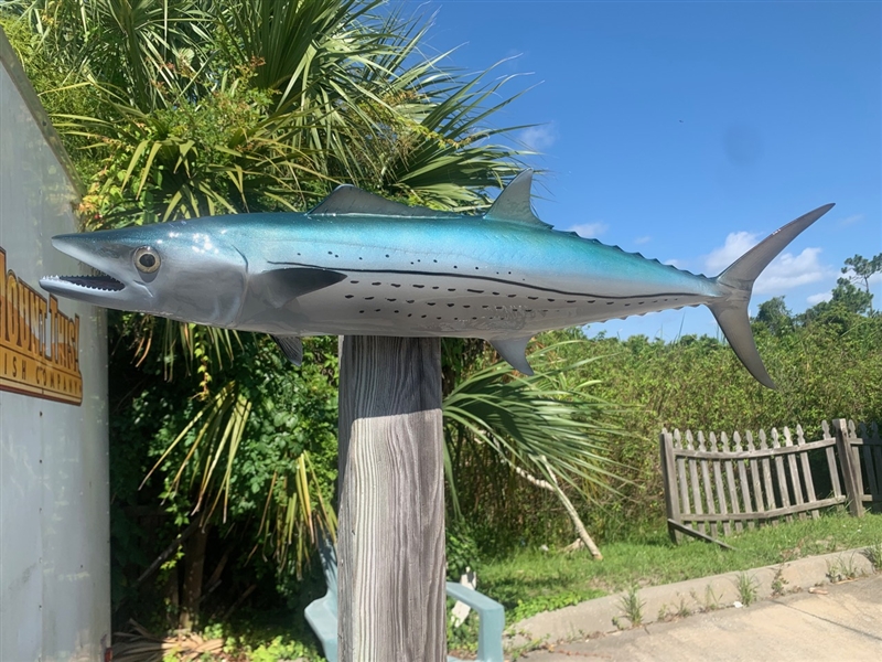 28 Inch Cero Mackerel Fish Mount Replica Reproduction For Sale