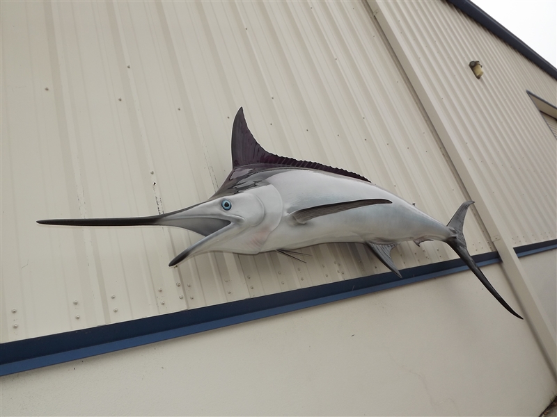 120 Inch Black Marlin Mount Replica Reproduction For Sale
