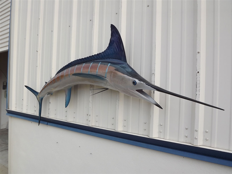 84 Inch Striped Marlin Fish Mount Replica Reproduction For Sale