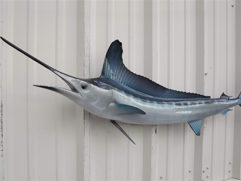 49 Inch White Marlin Fish Mount 49 Inch White Marlin Replica