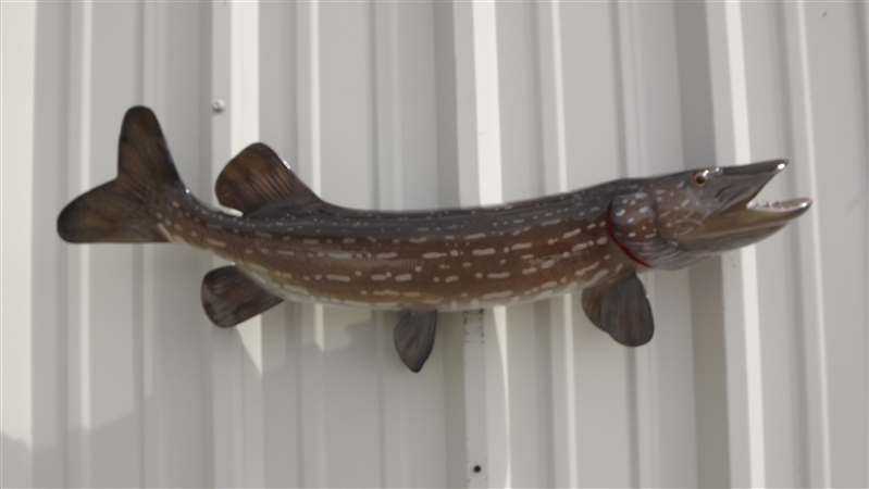 32 Inch Northern Pike Fish Mount Replica Reproduction For Sale