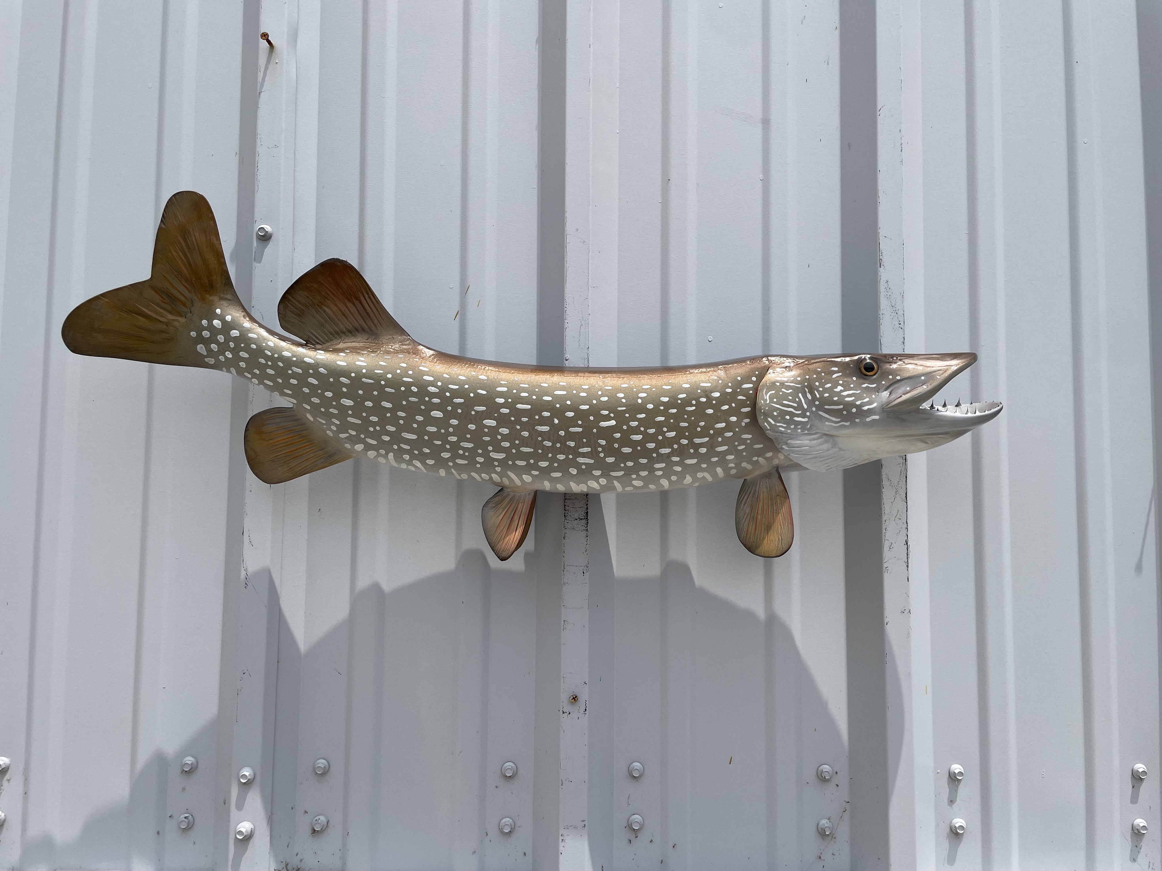 In Stock 32 Inch Northern Pike Full Mount In Stock 32 Inch Northern ...