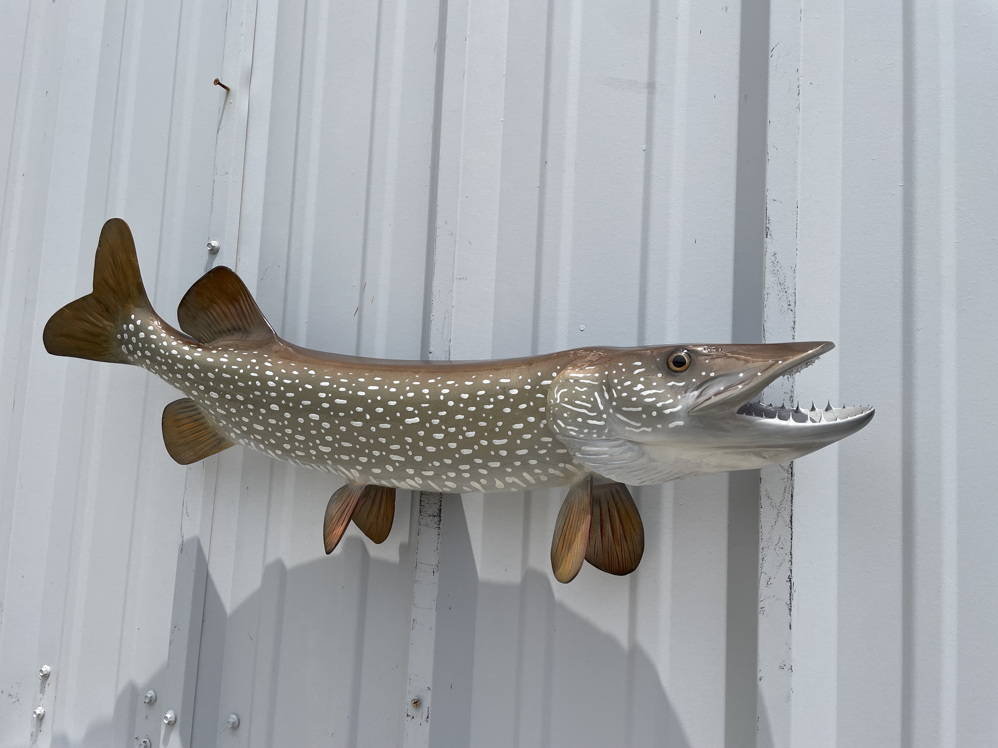 In Stock 32 Inch Northern Pike Full Mount In Stock 32 Inch Northern ...