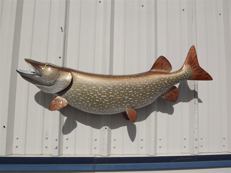 45 Inch Northern Pike Fish Mount Replica Reproduction For Sale