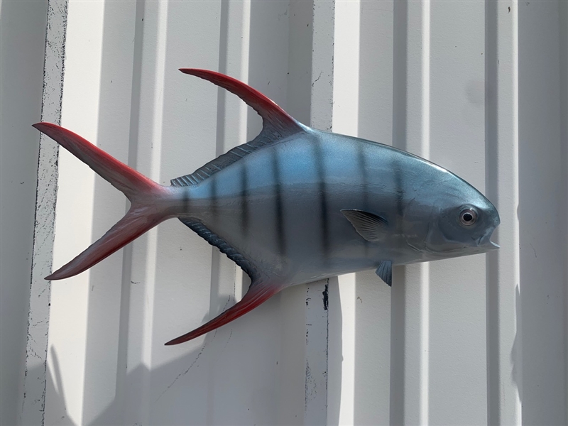 17 Inch Palometa Fish Mount Replica Reproduction For Sale