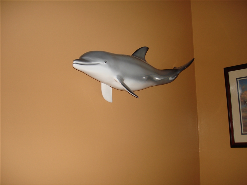 36 Inch Bottlenose Dolphin Fish Mount Replica Reproduction For Sale