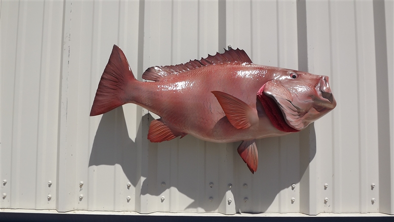 35 Inch Red Snapper Fish Mount Replica Reproduction For Sale