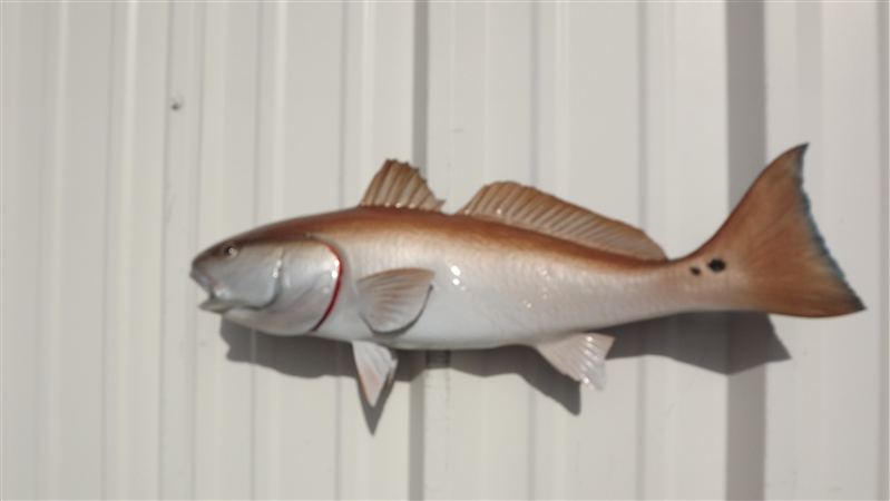 22 Inch Redfish Fish Mount Replica Reproduction For Sale