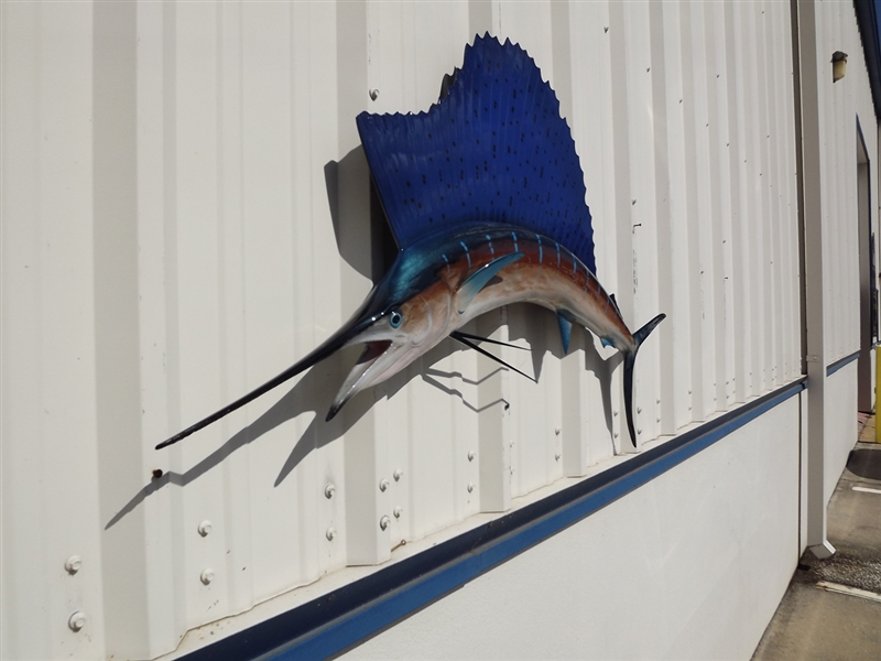 55 Inch Sailfish Fish Mount Replica Reproduction For Sale