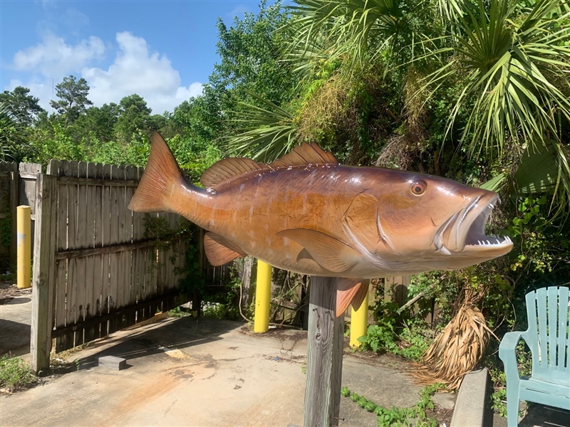 45 Inch Cubera Snapper Fish Mount Replica Reproduction For Sale