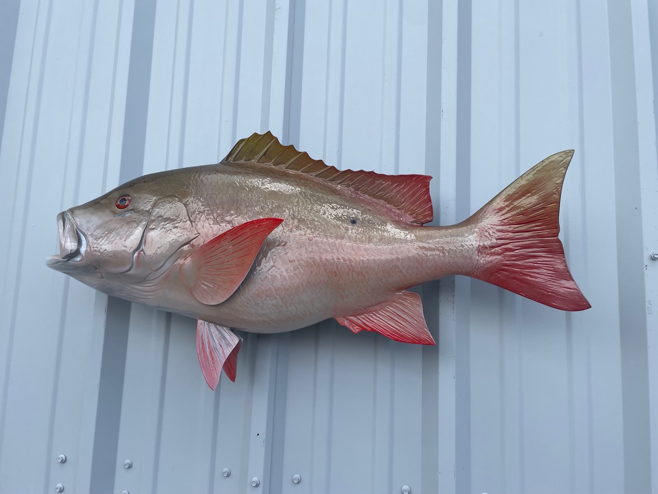 32 Inch In Stock Mutton Snapper Fish Mount | 32 Inch Mutton Snapper ...