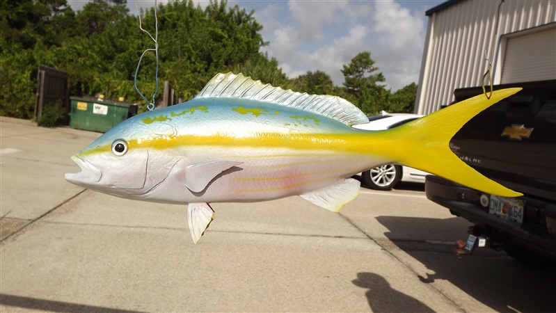 24 Inch Yellowtail Snapper 3D Suspension Fish Mount Replica For Sale