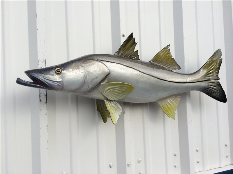 32 Inch Left Facing Snook Mount 32 Left Facing Inch Snook Full Mount