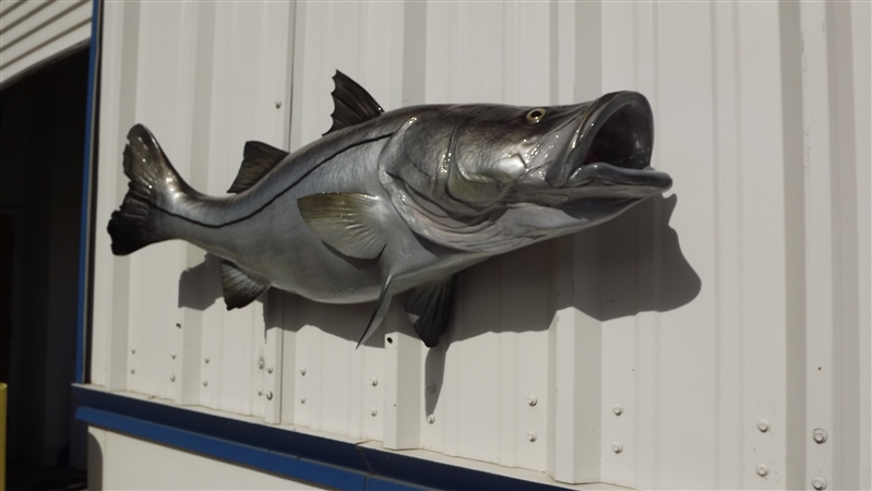 46 Inch Snook Mount 46 Inch Snook Full Mount