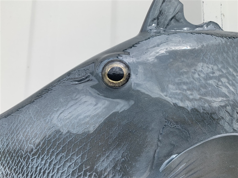 24 Inch Grey Triggerfish Fish Mount Replica Reproduction For Sale