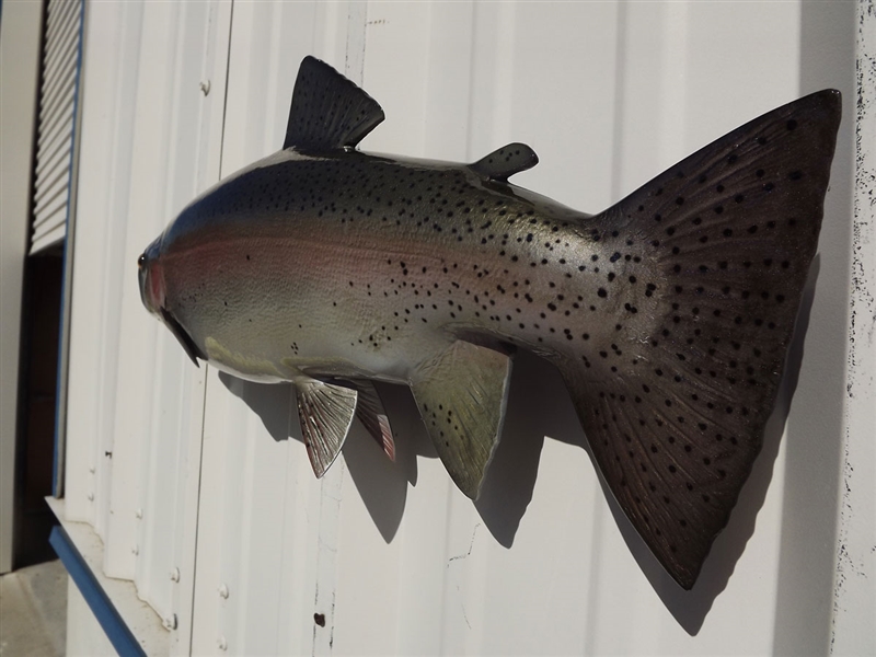 21 Inch Rainbow Trout Fish Mount Replica Reproduction For Sale