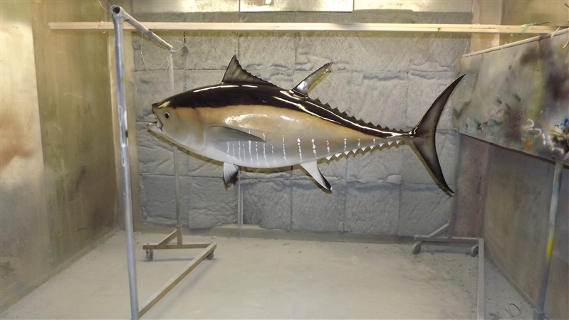72 Inch Bluefin Tuna 3D Suspension Fish Mount Replica For Sale