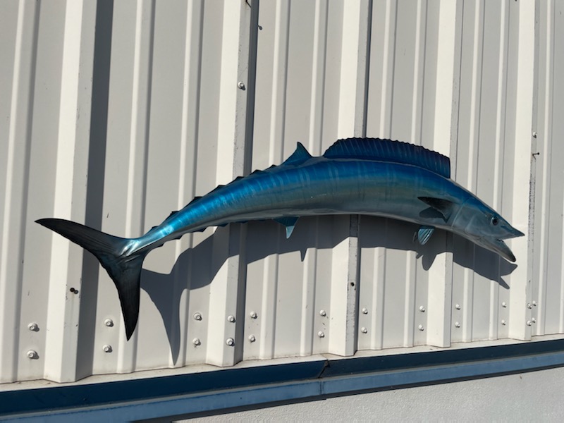 45 Inch Wahoo Fish Mount Replica Reproduction For Sale