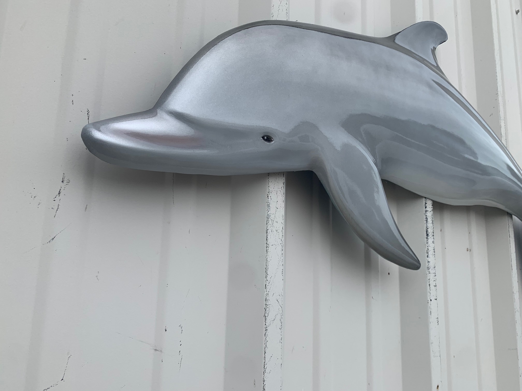 42 Inch Bottlenose Dolphin Half Mount Bottlenose Dolphin Half Mount