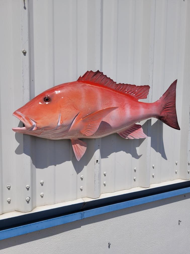 30 Inch Red Snapper Half Mount Red Snapper Half Sided Replica