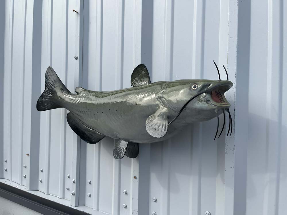 In Stock 29 Inch Channel Catfish Fish Mount Replica For Sale- Green ...