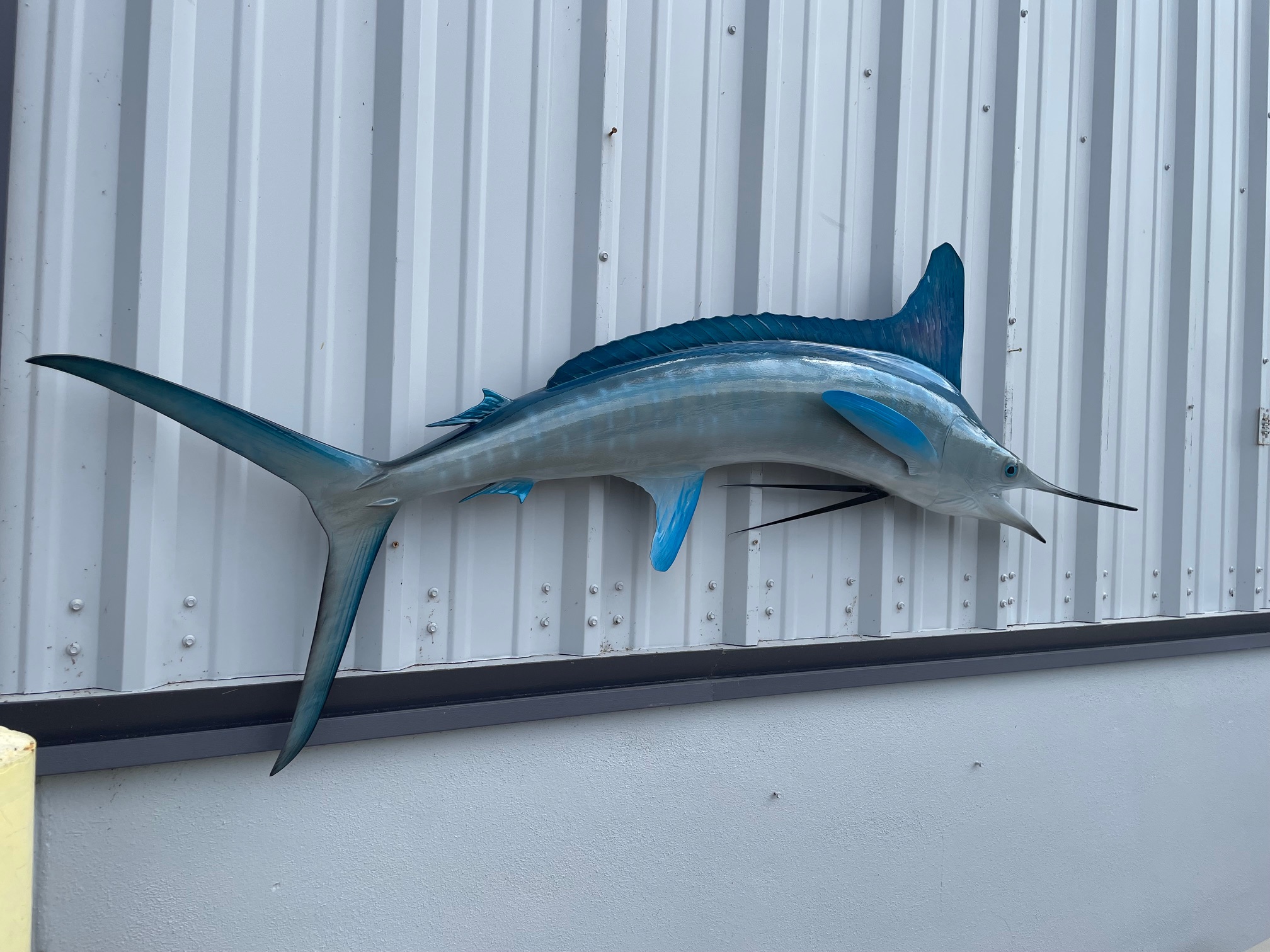 73 inch White Marlin Full Mount Fish Replica by Mount This