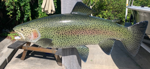 21 Inch Rainbow Trout Fish Mount Production Proofs - Invoice #21539 ...