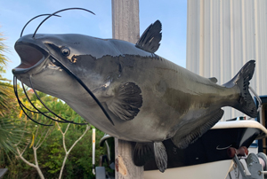 34 Inch Channel Catfish Fish Mount Production Proofs - Invoice #21580 ...