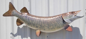 48 Inch MuskieFish Mount Production Proofs - Invoice #21858 - Mount ...