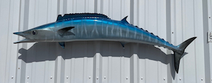 54" Wahoo Full Mount Fish Replica Customer Proofs 22412 - Mount This ...
