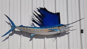 80" Sailfish Full Mount Fish Replica Customer Proofs 21913 - Mount This ...