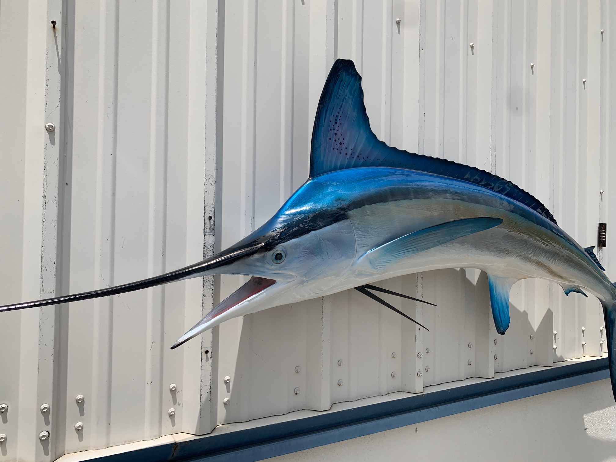 87 Inch White Marlin Fish Mount Production Proofs - Invoice #21720 ...