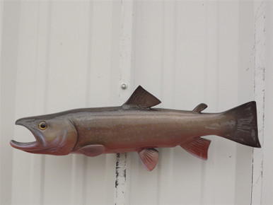 20 Inch Brook Trout Fish Mount Replica Reproduction For Sale