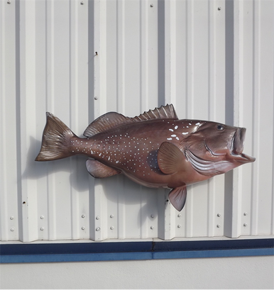 34 Inch Red Grouper Fish Mount Replica Reproduction For Sale