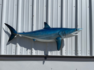 57 Inch Mako Shark Mount Replica Reproduction For Sale