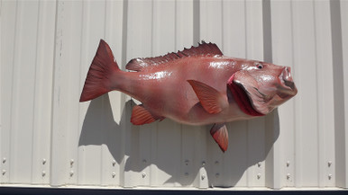 35 Inch Red Snapper Fish Mount Replica Reproduction For Sale