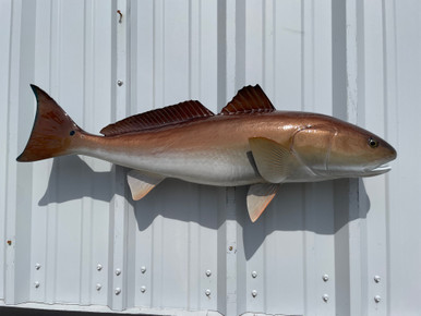 36 Inch Redfish Fish Mount Replica In Stock And For Sale
