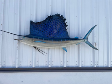 71 Inch Sailfish Fish Mount Replica Reproduction For Sale