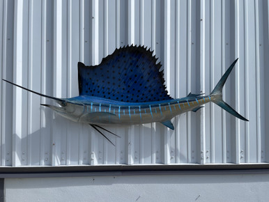 75 Inch Atlantic Sailfish Fish Mount Replica by Mount This Fish Company