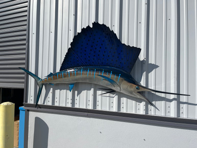84 Inch Sailfish Fish Mount Replica For Sale And In Stock