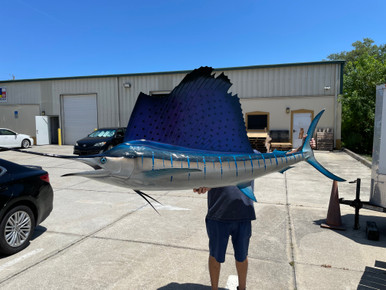 110 Inch Pacific Sailfish Fish Mount For Sale | 110 Inch Pacific ...