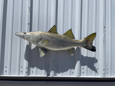 36 Inch Snook Mount 36 Inch Snook Full Mount