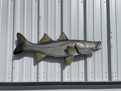 40 Inch Snook Mount 40 Inch Snook Full Mount