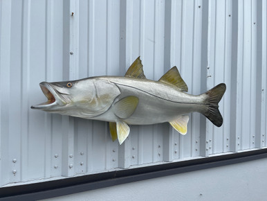 In Stock 44 Inch Snook Full Mount In Stock 44 Inch Snook Replica 44 ...