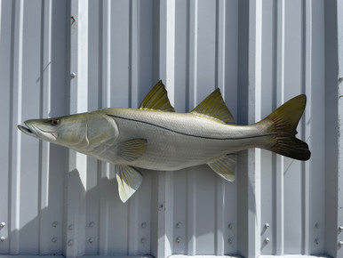 In Stock 36 Inch Snook Fish Mount | In Stock 36 Inch Snook Fish Replica ...