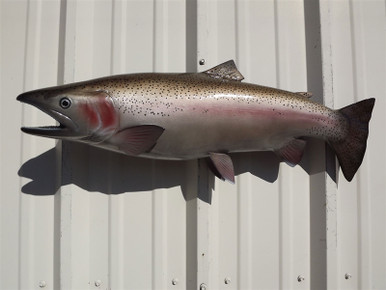 29 Inch Steelhead Trout Fish Mount Replica Reproduction For Sale