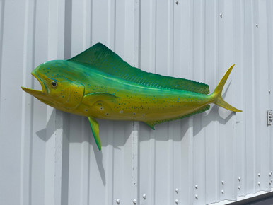 42 Inch Cow Dolphin Half Mount Fish Replica by Mount This!